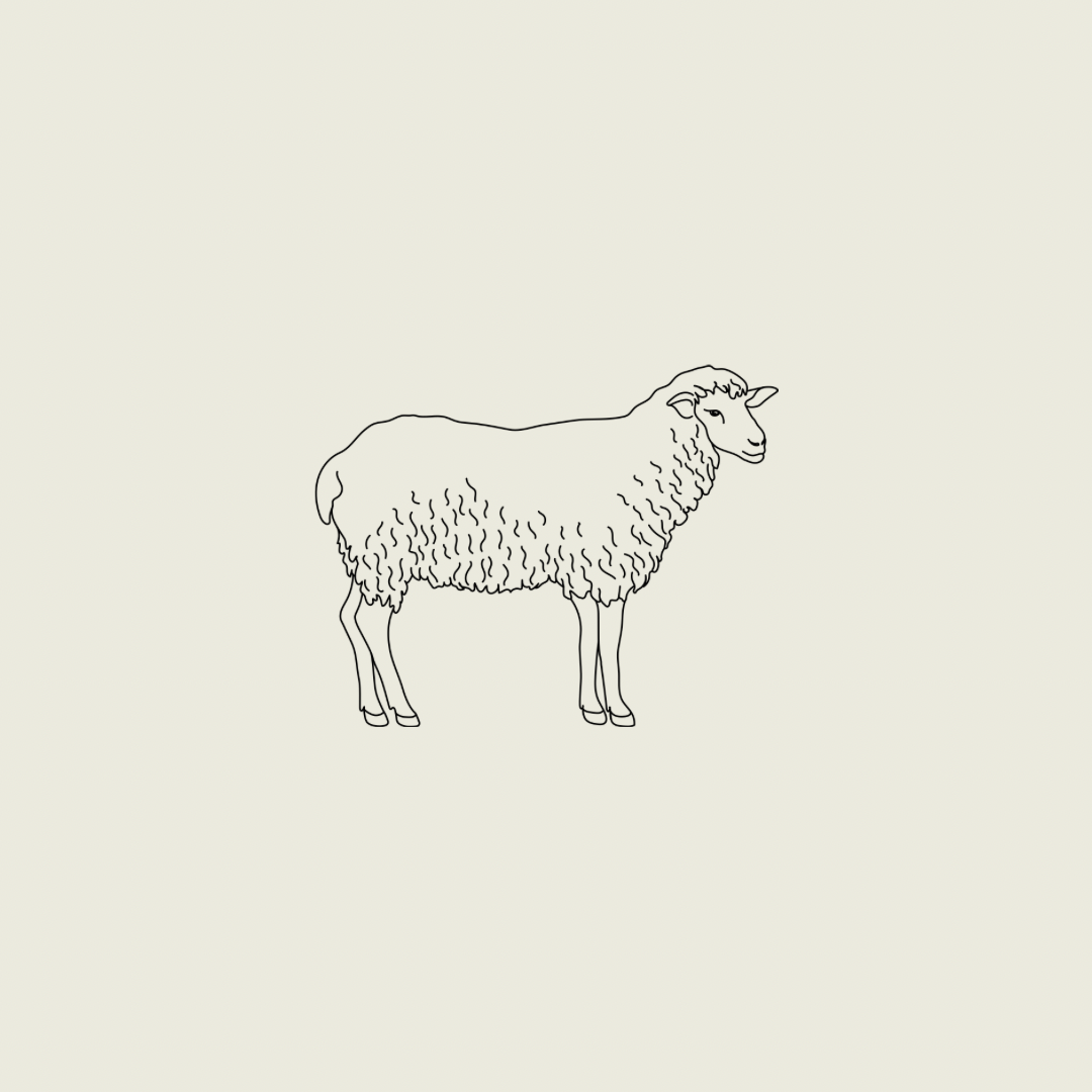 Hogget Shoulder Bone-in – Stockinpiggle Farm Produce